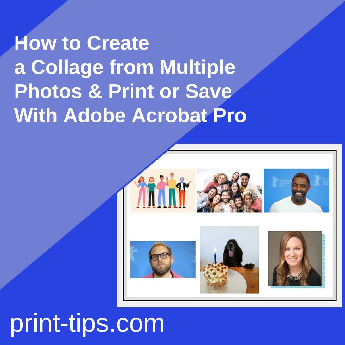 How to Create a Collage from Multiple Photos & Print or Save with Adobe ...