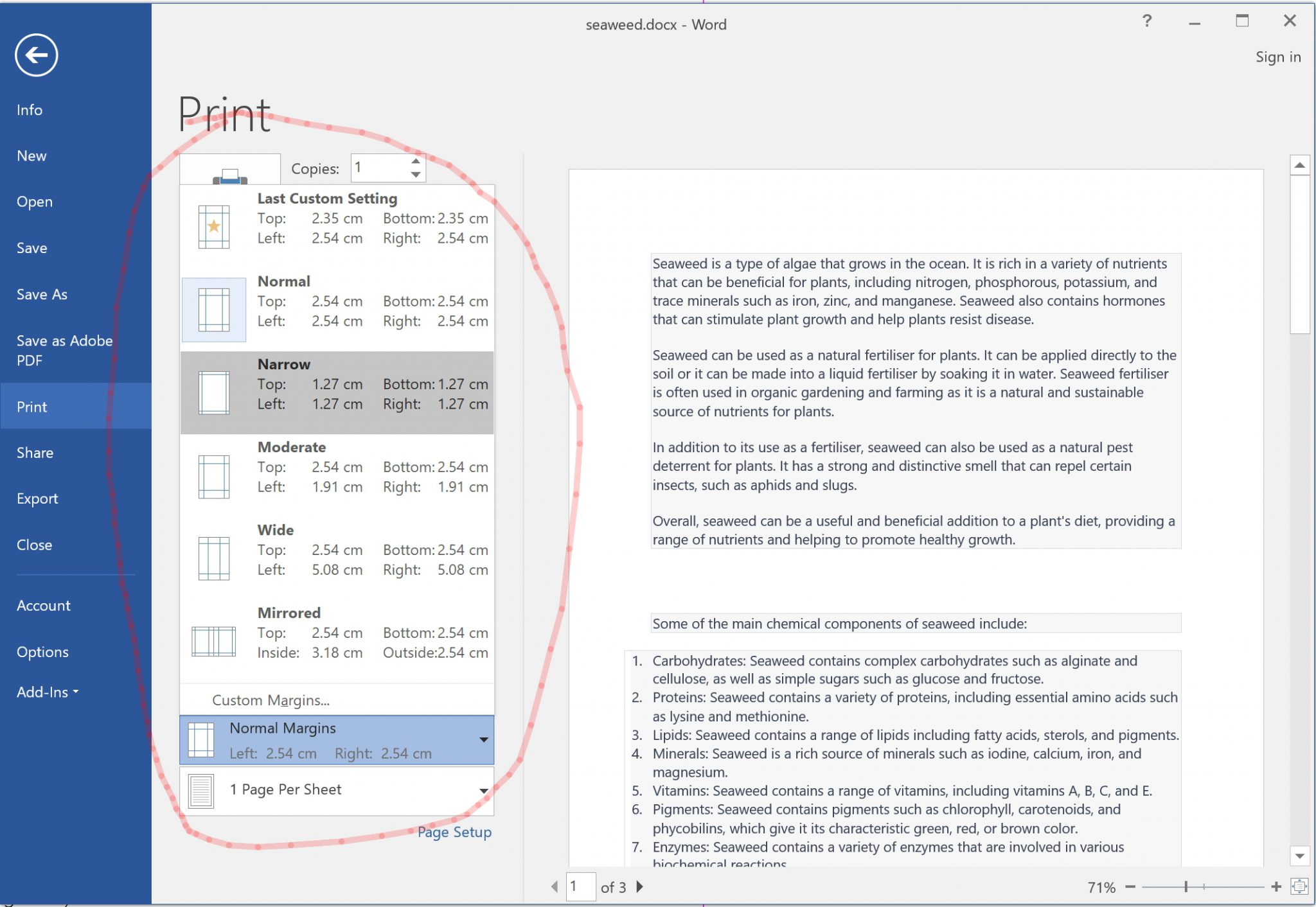 How to Change Microsoft Word Page Margins Before Printing - Print Tips